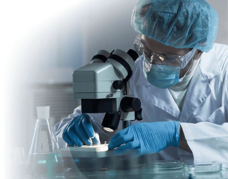 CMC & Process Development for Cell Therapies | Kincell Bio