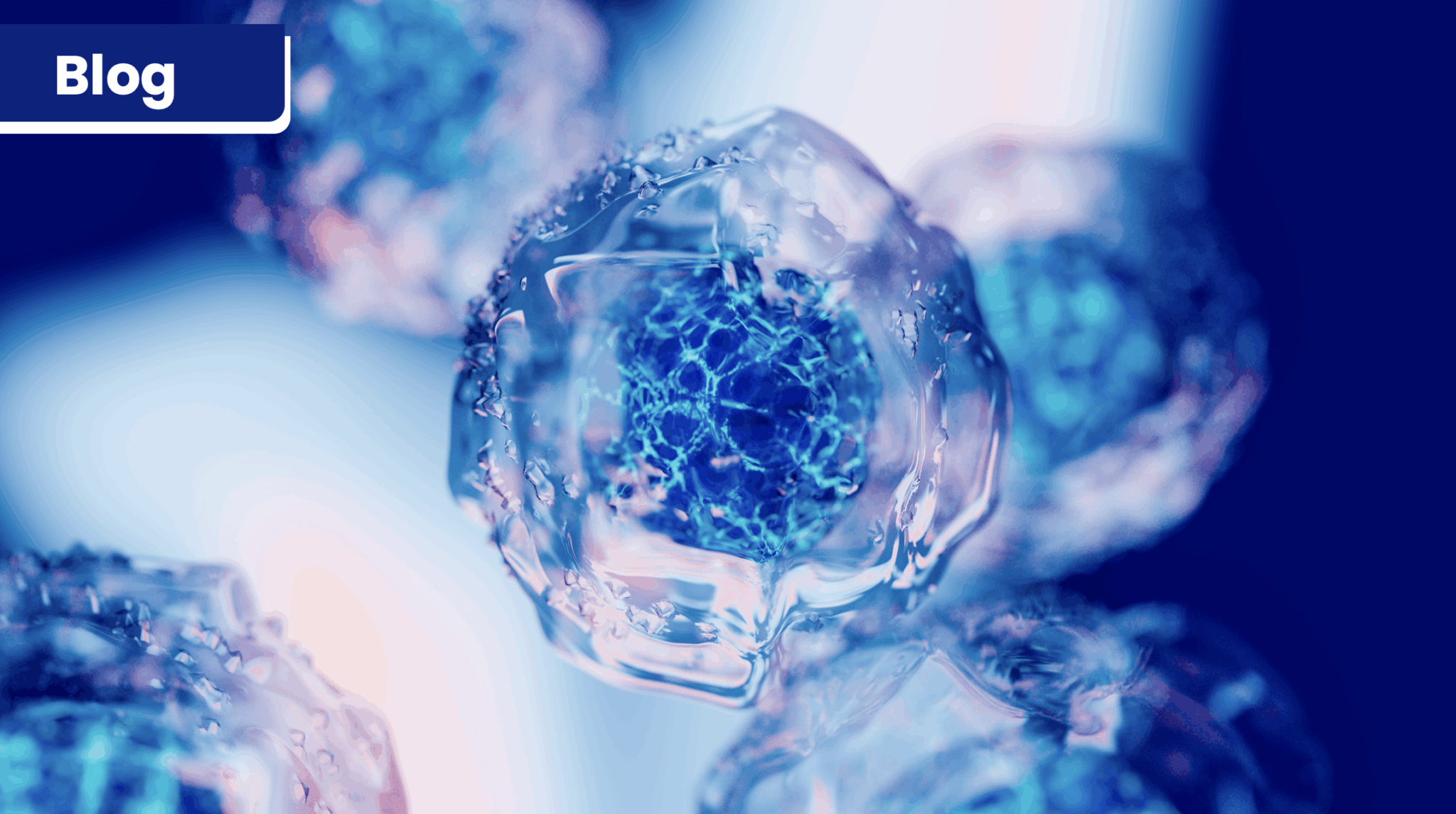 Top 5 Reasons to Add a Redundant Cell Therapy CDMO